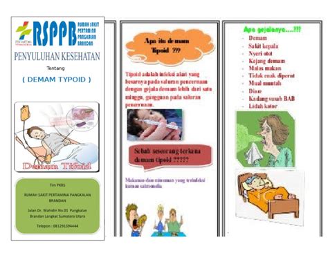 Leaflet Demam Typoid Pdf