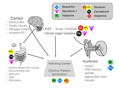 PPT Management Of Nausea And Vomiting In Palliative Care PowerPoint Presentation ID 300142