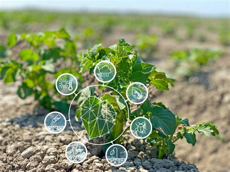 New Institute To Develop Smart Breeding Method For Resilient Climate Adaptive Agriculture