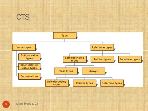 Ppt Common Type System Powerpoint Presentation Free Download Id5552088
