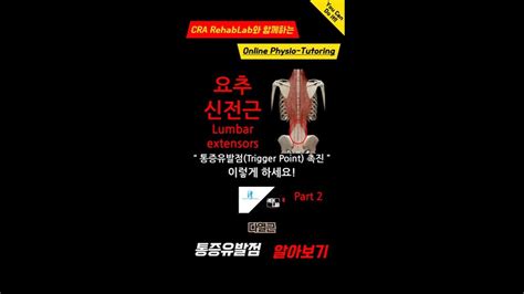 기립근요추신전근 다열근 통증유발점 촉진하기 Part2 근육이완 허리통증완화 통증치료 다열근 신전근 척추세움근 기립근 Spine Youtube