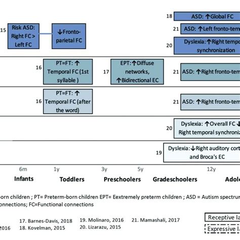 overview of task related connectivity patterns in clinical