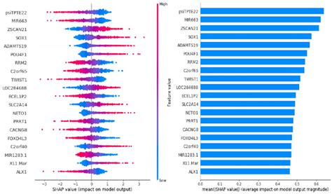 Summary Plots For Shap Values On Kipan Dataset Download Scientific Diagram