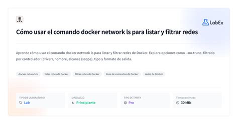 cómo usar el comando docker network ls para listar y filtrar redes labex