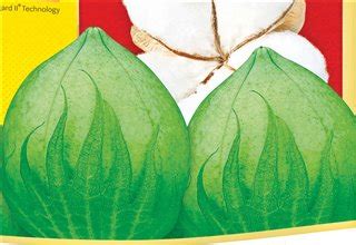 Color Glow Issue CorelDRAW Graphics Suite For Windows CorelDRAW Graphics Suite 2023