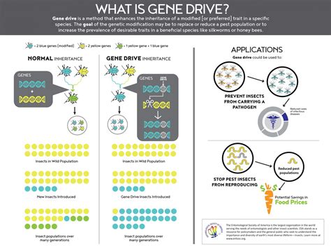 Infographics • Geneconvene Virtual Institute
