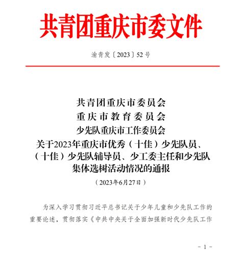 喜报！铜梁这些个人和集体获市级表彰！重庆市少先队员整治