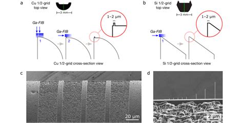 Preparation Of Tem Substrates For Deposition Experiments A B Download Scientific Diagram