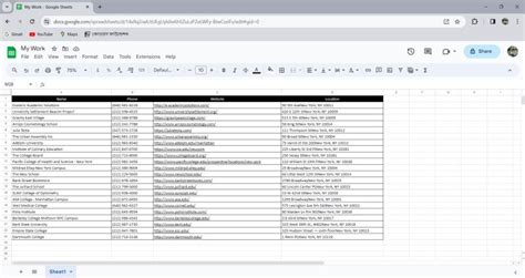Eman Fatima On Linkedin Dataentry Webresearch Leadgeneration B2b Msexcel
