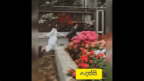 තනිකම මම ඇති තරම් විදලා තියෙනවා ඉක්මනින් එන්න මං බලන් ඉන්නවා දස්සි
