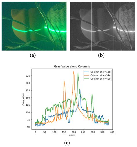Stripes With Cross Sectional Grayscale Statistics A Laser Light Download Scientific Diagram