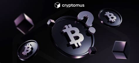 Bitcoin For Dummies Bitcoin 101 Guide