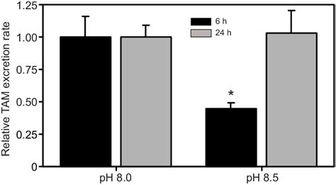 Tam Excretion Rates Of Mytilus Spp Transiently Decline During Exposure Download Scientific