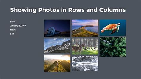 How To Display Wordpress Photos In Columns And Rows