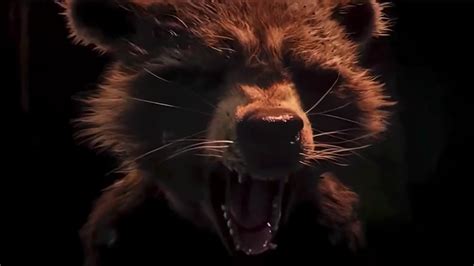 Rocket Raccoon Crying Know Your Meme