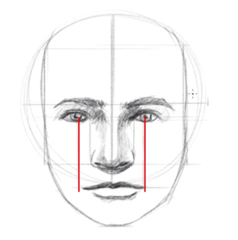 Face Outline Drawing