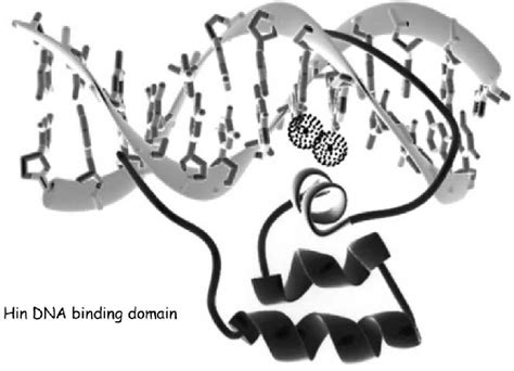 Figure 11 From Entropy Filtering Method And Insertiondeletion Robust Algorithm For Multiple
