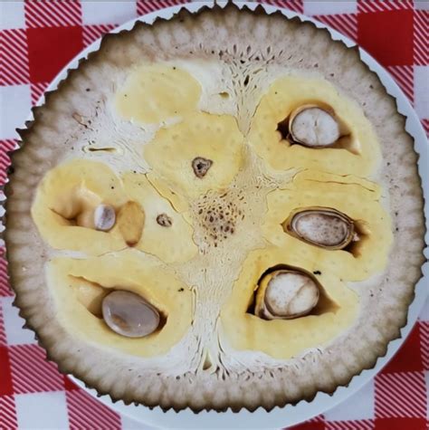 열대과일 두리안 비슷한 잭프루트 Jackfruit 네이버 블로그