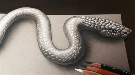 How To Draw A Snake Easy With Pencil Design Talk