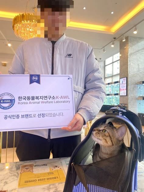 코리안숏헤어 잼이 대형견책임분양 미니비숑프리제책임분양 토이푸들책임분양 골든리트리버책임분양 래브라도리트리버책임분양 닥스훈트책임분양 도베르만책임분양 말티치책임분양 말티폼책임분양