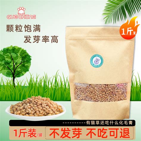 猫草种子猫草籽猫零食猫草片去毛球猫薄荷水培盆栽营养土猫咪用品 虎窝淘