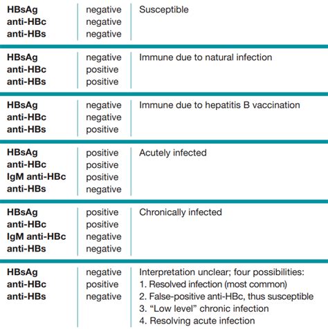 Hepatitis B Serology Immunology Diagram Quizlet