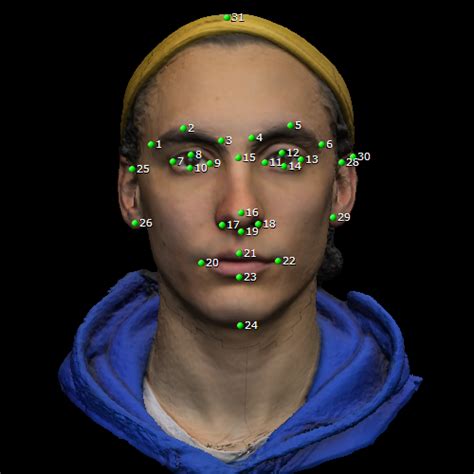 Align Points Adjustments