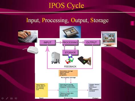 Computer Processing Cycle Diagram
