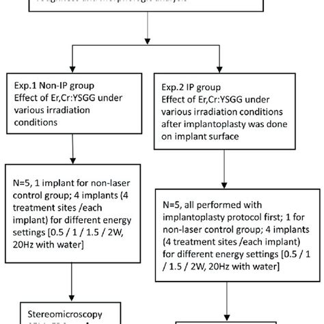 Outline Of Experiments 1 And 2 Outline Of Experiments 1 And 2 Download Scientific Diagram