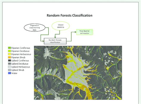 Flow Diagram Of The Random Forests Classification Procedure And An Download Scientific Diagram