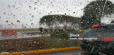 도 차 창을 통해 볼 수 있습니다 비 차 창에 삭제합니다 비가 폭풍우 어두운 하늘 오렌지 커브 푸른 잔디 손바닥 자동차 조명 흐릿한 배경 뉴 올 리 언 즈 국제 공항에서가