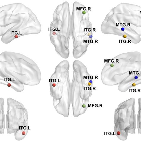 Schematic Representation Of Interactions Among The Lateral Habenula