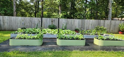 Tree Source Citrus Nursery Tree Source Citrus Nursery