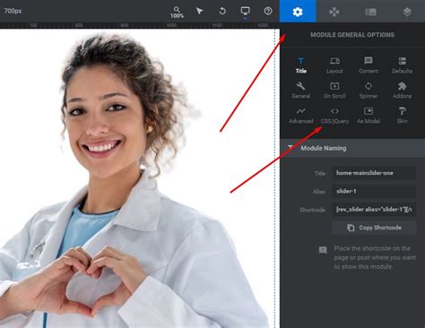 How To Add A Custom Font To The Slider Revolution Wpdaddy