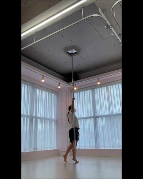 폴기록 청주 폴댄스 메이폴 댄스에서 다이어트 폴 시작 네이버 블로그