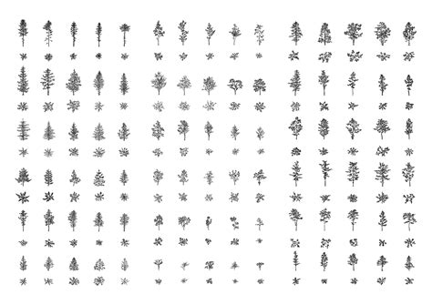 Trees And Pine Trees Dwg Cad Blocks In Plan And Elevation 90 Pieces Cadnature