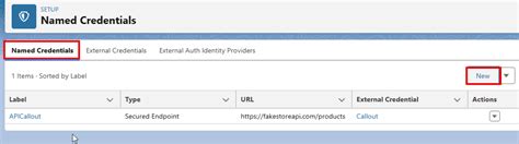 Salesforce Named Credential How To Create And Use It