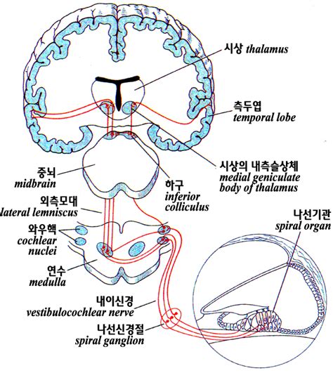 감각기관 네이버 블로그