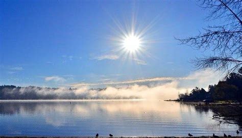 Relapse Vs Lapse Or Slip