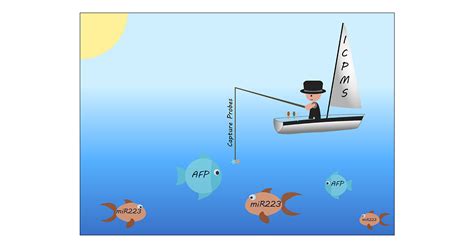 Mass Spectrometric Multiplex Detection Of Microrna And Protein Biomarkers For Liver Cancer