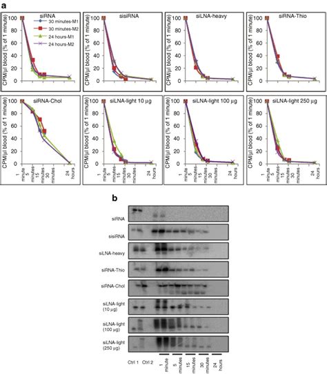 Rna Blood Clearance And Stability Analysis By Scintillation Counting