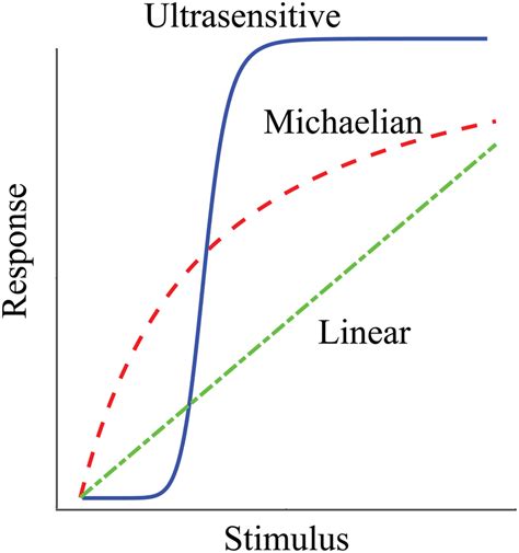 Steady State Input Output Characteristics Relationships For Linear
