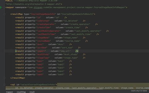 明明有springboot中有mapper文件却提示找不到mapper文件 项目中能找到mapper 启动提示没有顶一 csdn博客