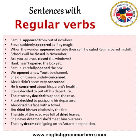 20 Examples Of Irregular Verbs Are In Sentences English 42 Off