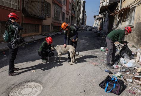 Un Nuevo Terremoto De Magnitud 64 Sacudió El Sureste De Turquía