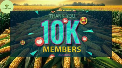 බඩ ඉරුගු වෙළෙඳපොළ