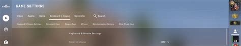 Direct Mouse Raw Input In CSGO How To Configure It SkinsCash Blog