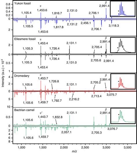 Collagen Spectra Of Modern And Fossil Camelini Ellesmere Fossil Camel Download Scientific