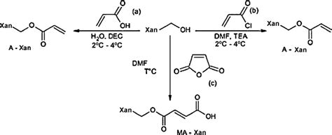 Strategies For Grafting Xanthan Gum A Acrylic Acid B Acryloyl Download Scientific Diagram