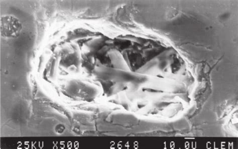 The Microstructure Of Cao With 1 Wt Of γ Al 2 O 3 Addition